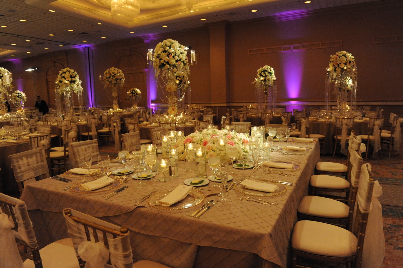 Yanni Design Studio