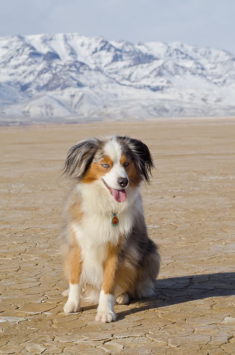 Scott and Angie's Blog: Alvord Desert Road Trip
