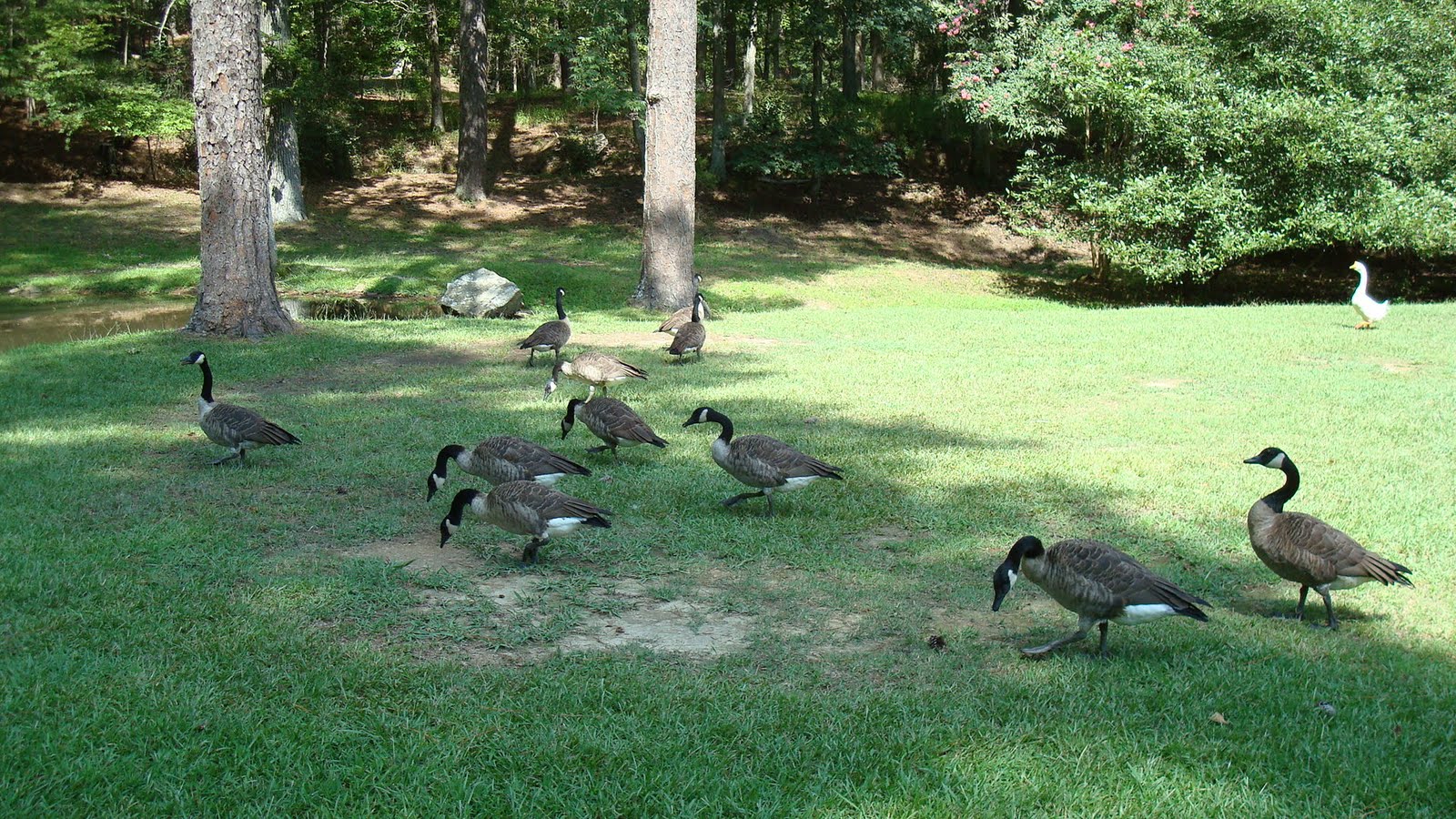 Wonders of Life: Visiting Berry College