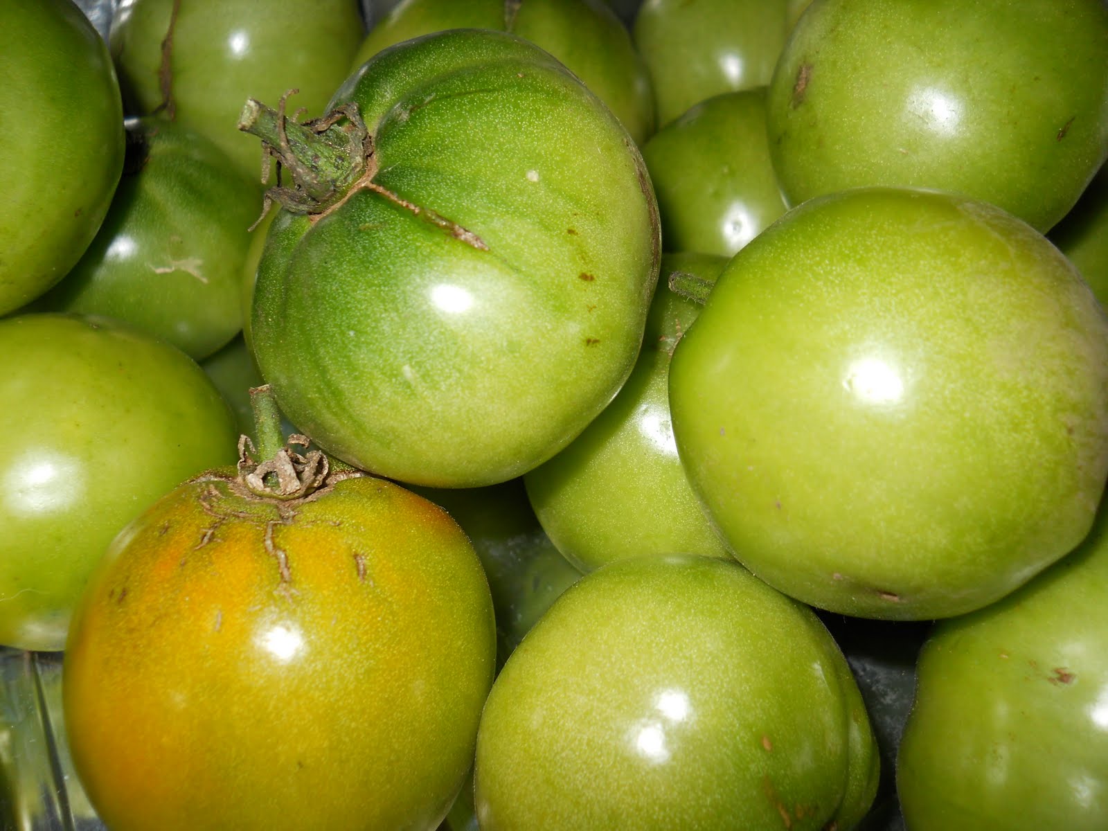 Sunny Slope Farm: Green Tomato Salsa Verde