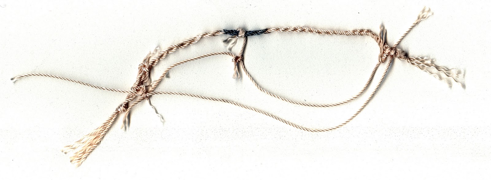 Architectural Design :: Spring 2011