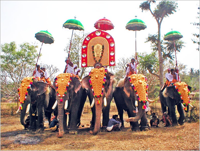 Tourism India | Discover India | India Tourism: Cochin Travels | Cochin ...