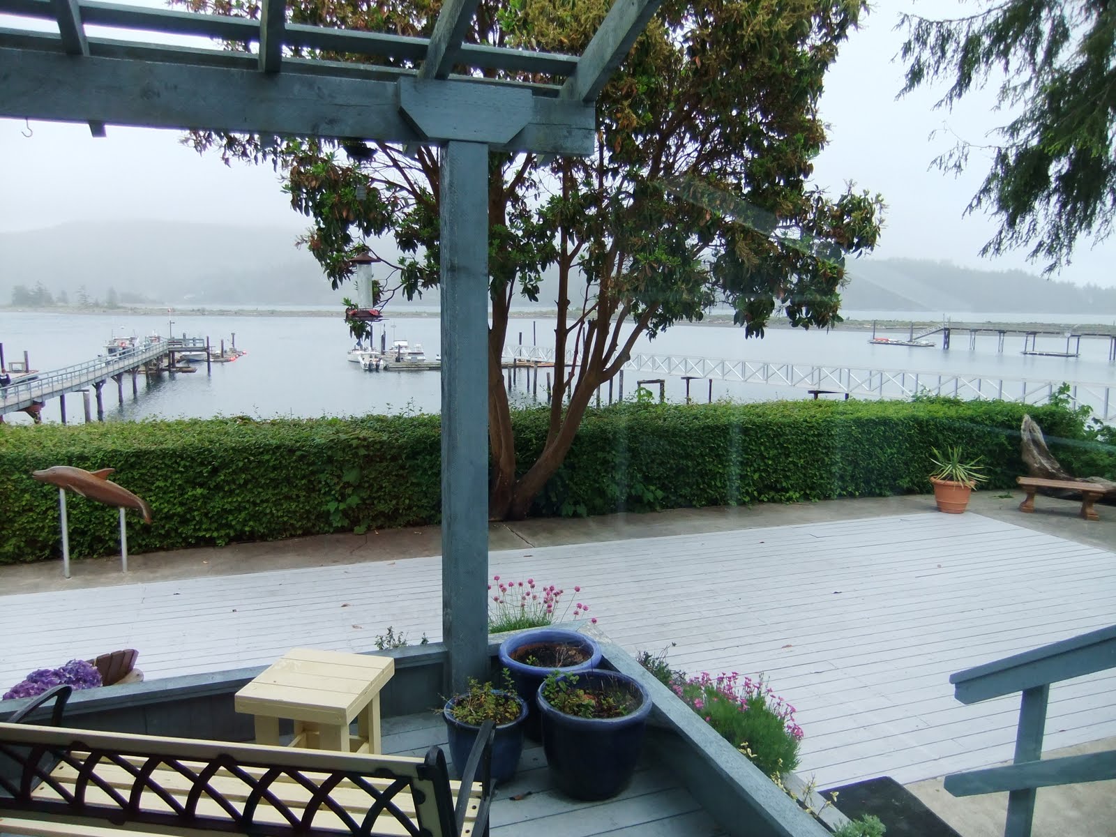 Blog for GSE trip 2010 to North America: Day 12 - Triangle Island ...