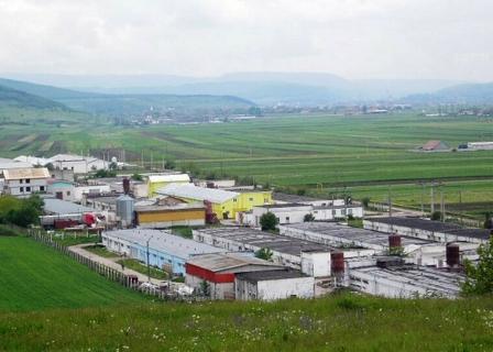 ECONOMIE SI COMERT | Comuna FLORESTI