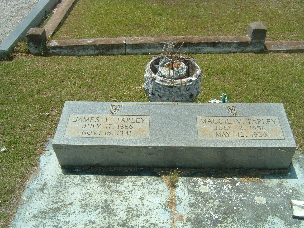 My Tapley Tree...and its Branches: November 2010