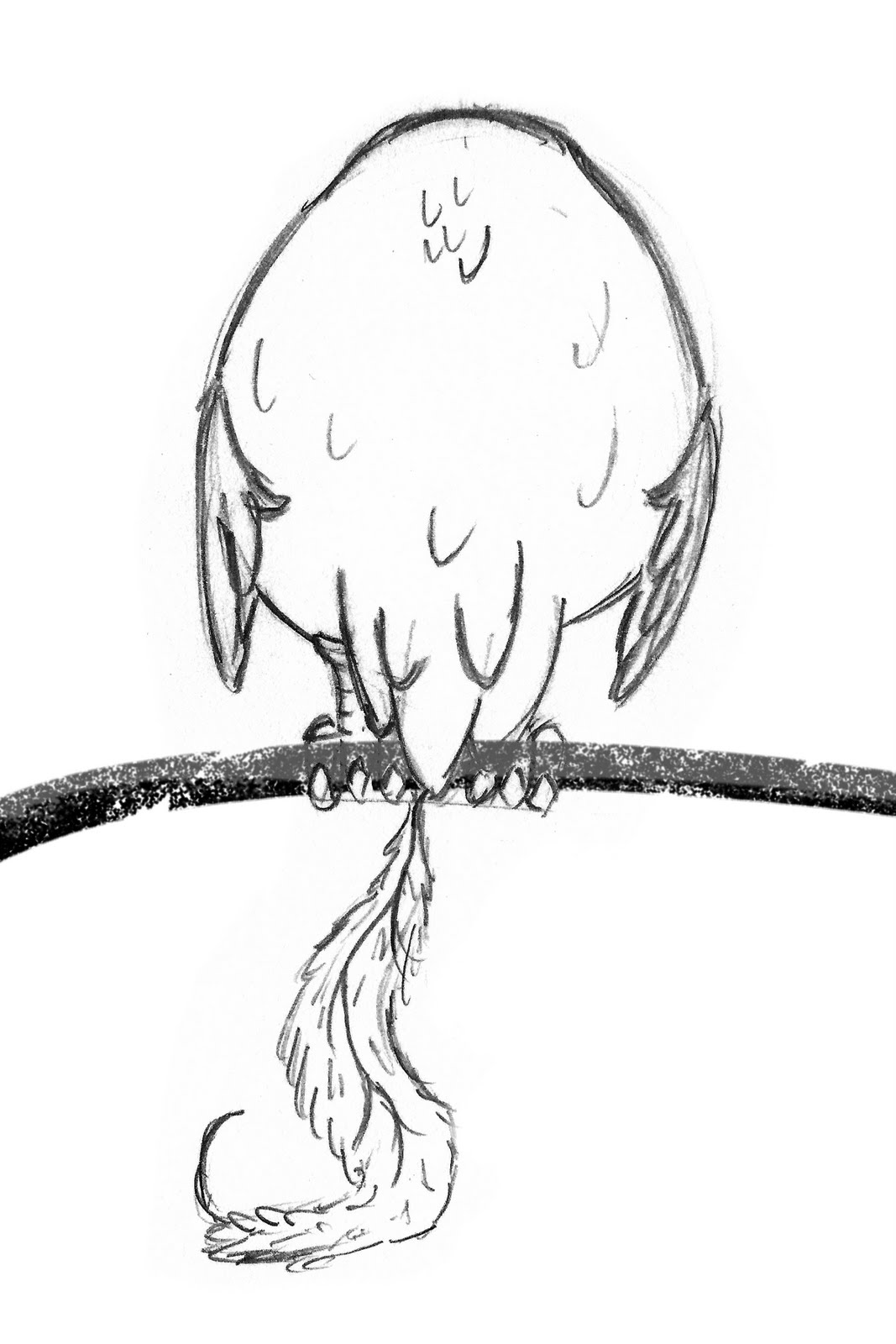 Logan Drawings: Mouse and Bird