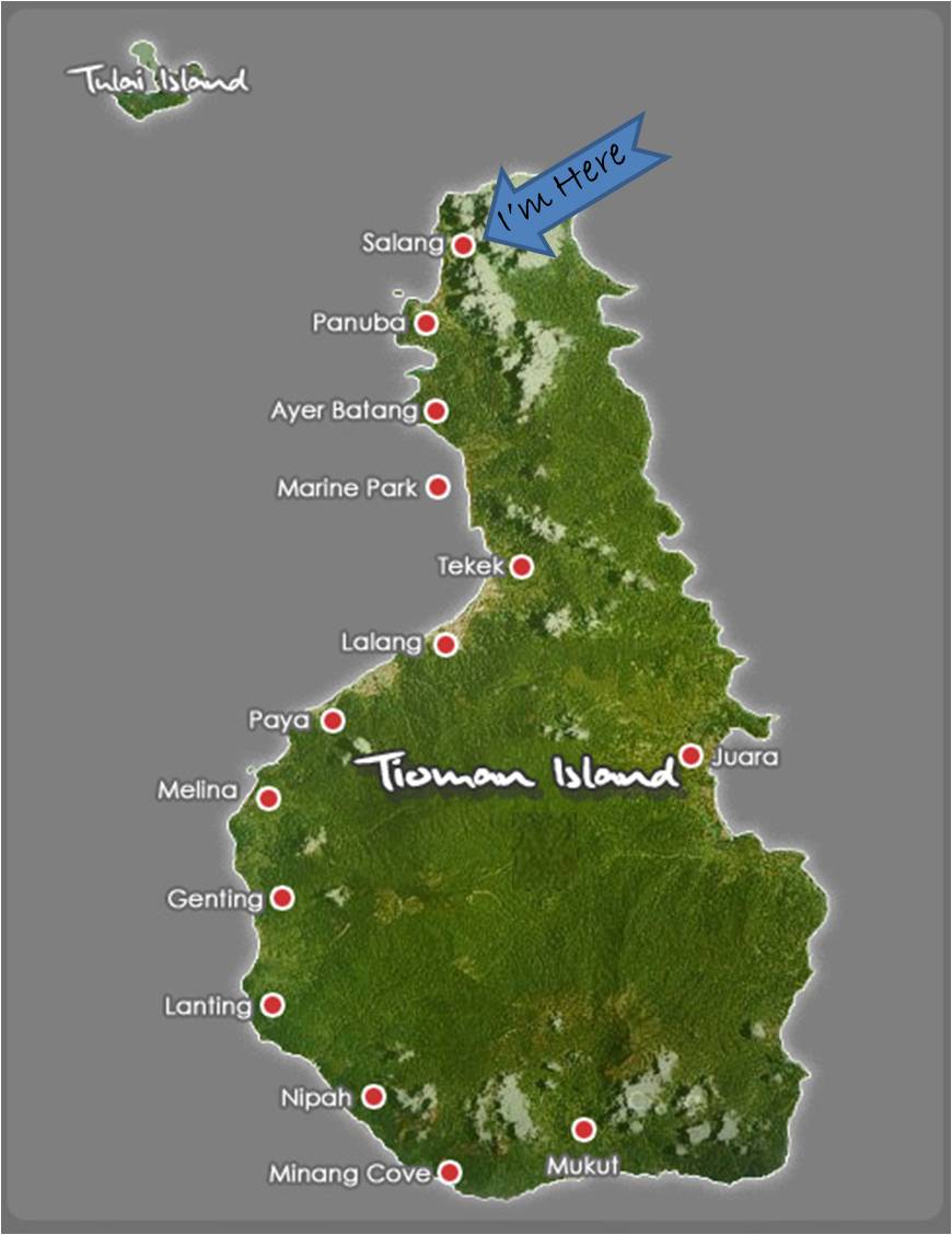 DiveTioman - Scuba Diving In Malaysia