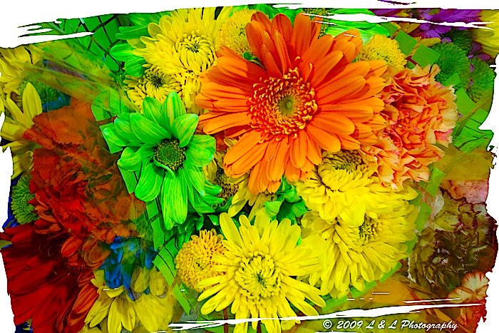 Ocala, Central Florida & Beyond: Floral arrangement courtesty of Publix