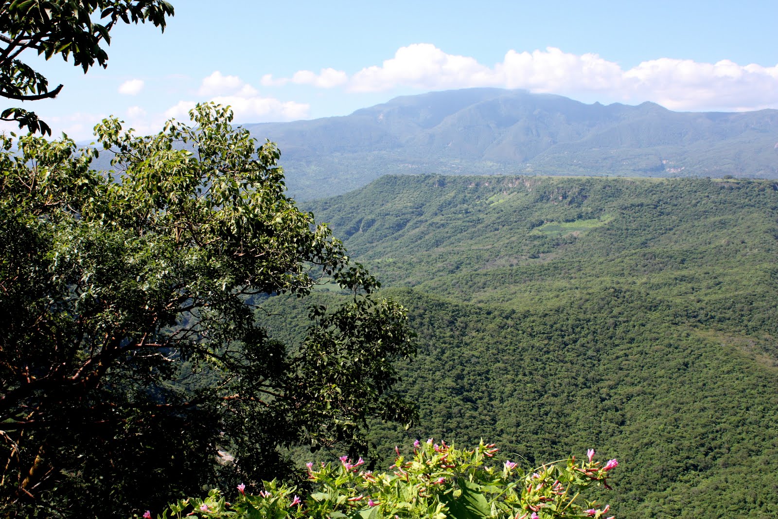 Espacios y despacios: Altiplano verde - Green plateau