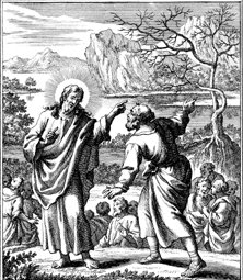 Authentic Light: Review: The Common English Bible