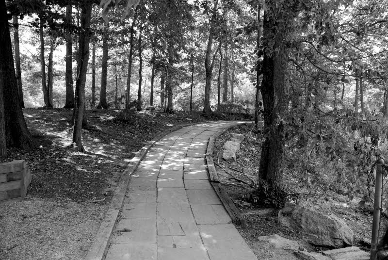 Breslov Center: The Road to Uman