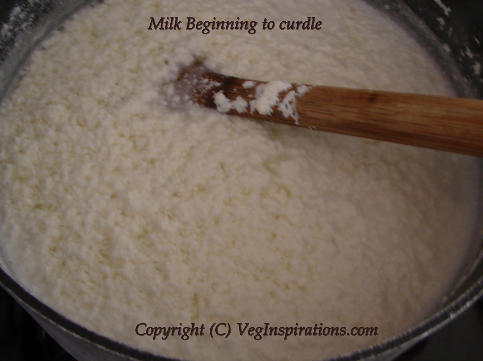 Paneer- Indian Cottage Cheese with step by step pictures | Veg Inspirations