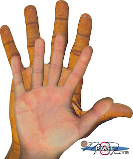 -Page 3-: More Michael Jordan memories....