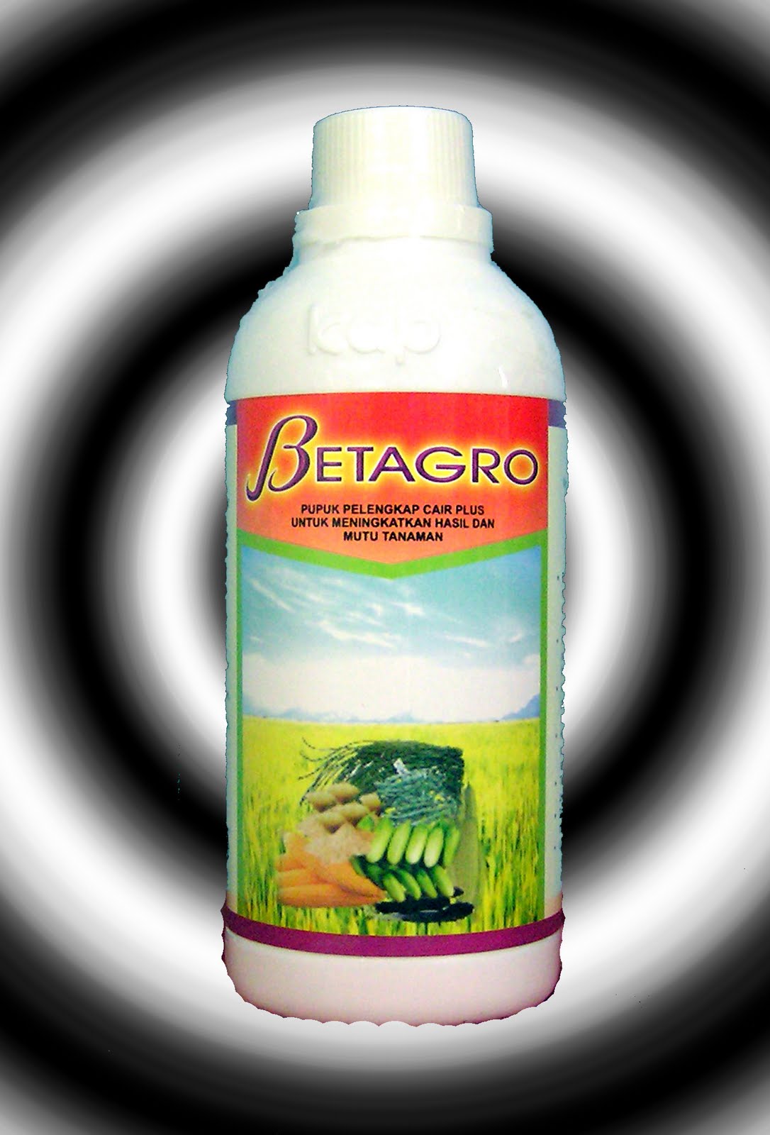 CV. Karnadinata Agro Putra: BETAGRO