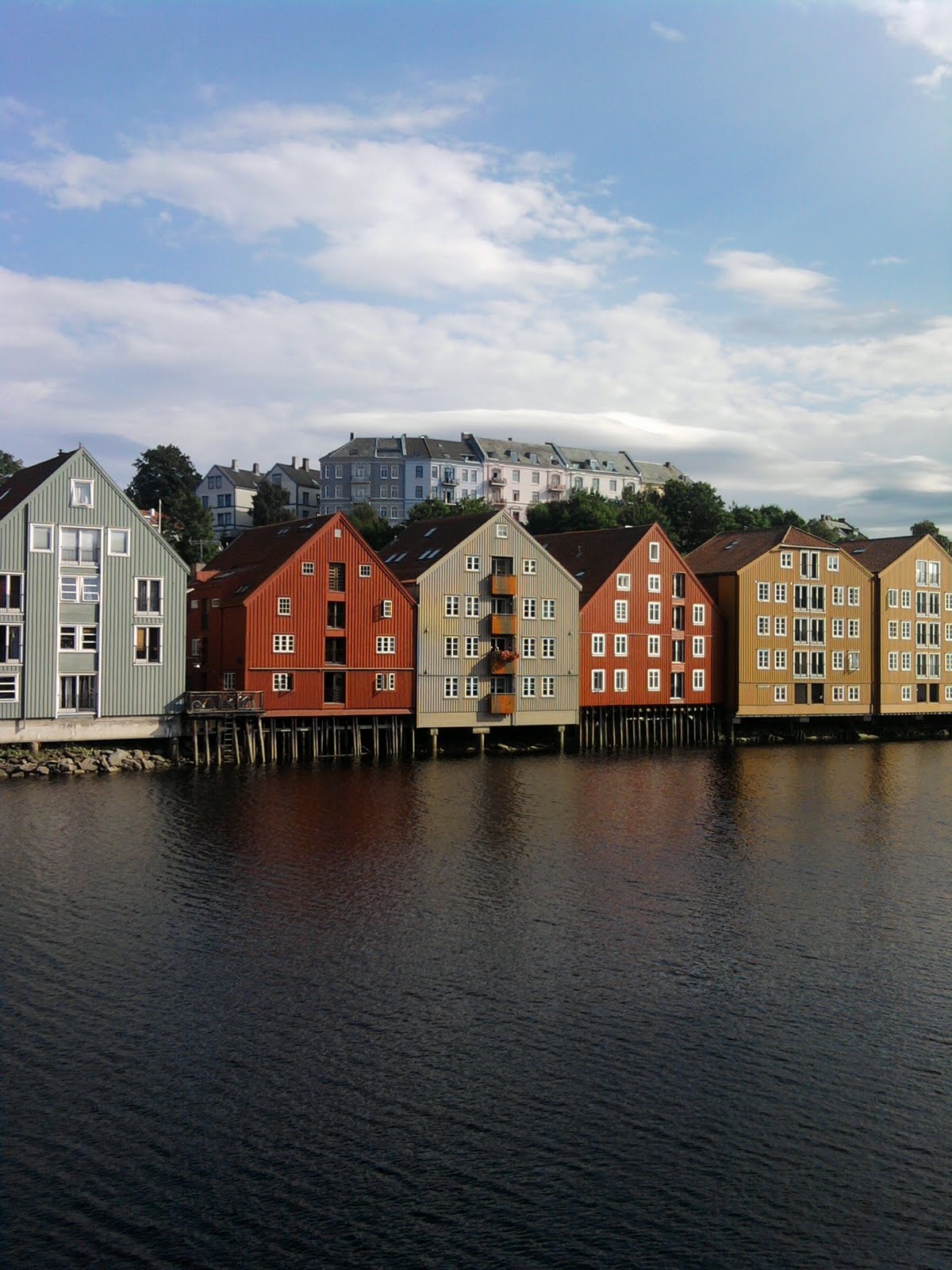 Bart in Trondheim