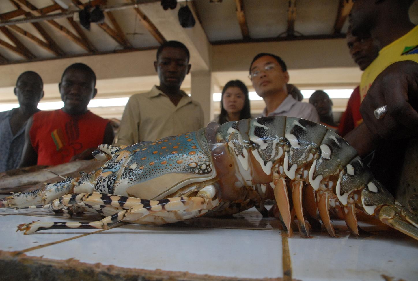 *MCHINA ABAGENI KUNUNUA KAMBA KOCHI, FERI - SUFIANIMAFOTO