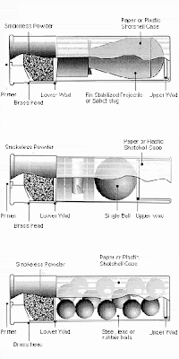 New Guns Gallery: Cross Section View of Shotgun Shells