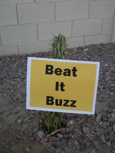 Beat It Buzz