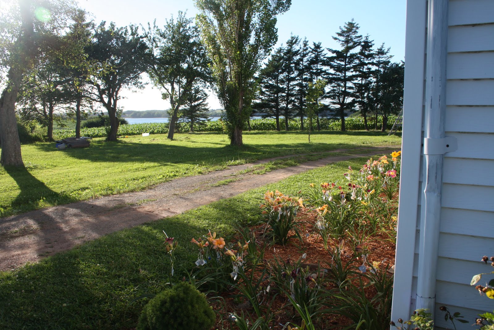 a maritime gardener: Spring Is In The Air In Nova Scotia
