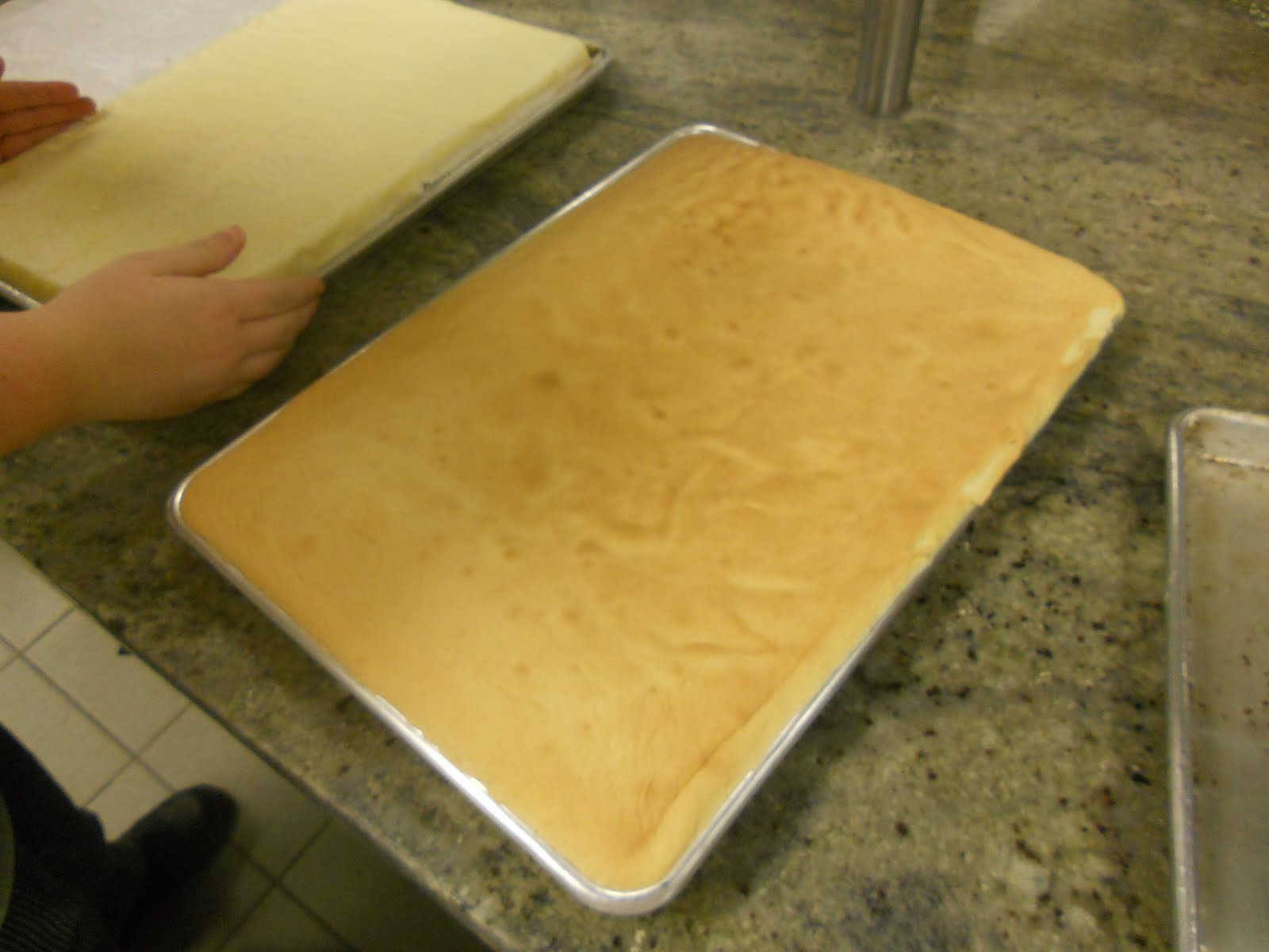 Spring 2011: Foaming cakes! (Chiffon, Genoise, Angel Food Cake)