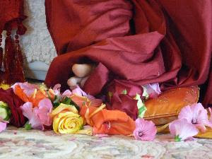 Paramahamsa Sri Swami Vishwananda / Bhakti Marga: Touching your Guru's Feet