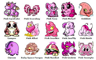 Me and My Neopets: Pink Petpet