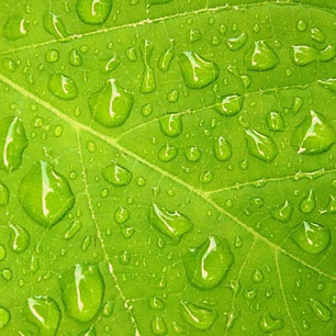 Street Photography: Element Of Art Photography