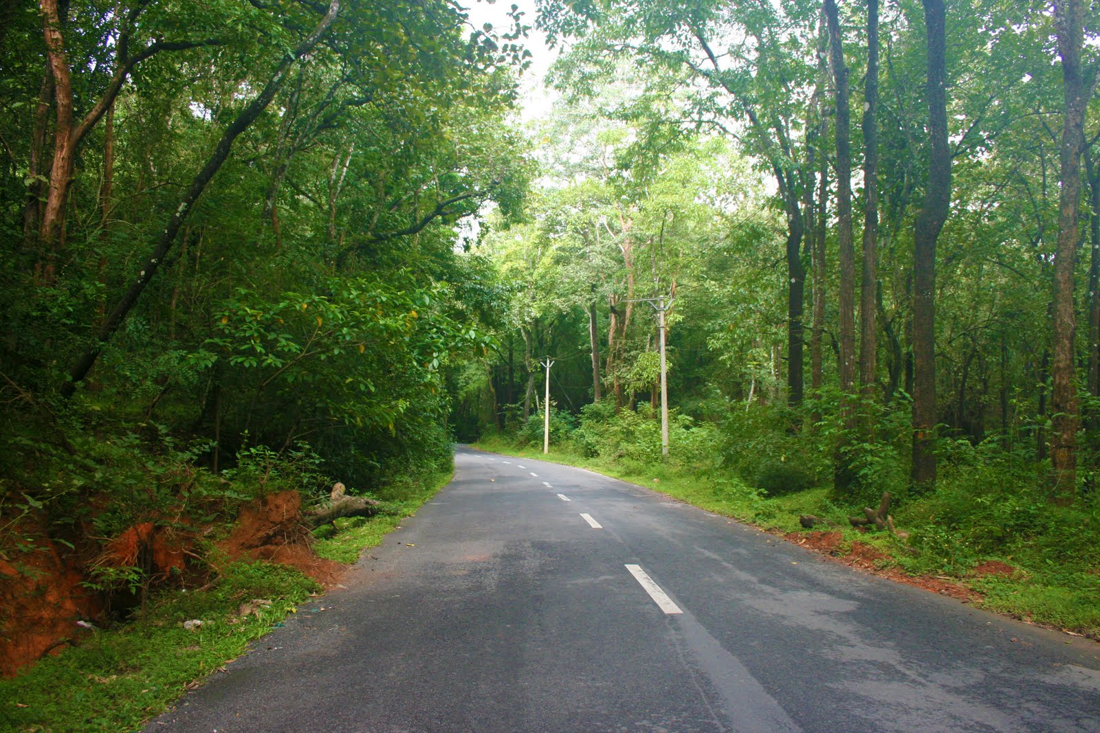 Digital-Shots: Trip to Wayanad (Rain Country Resort, Lakkidi, Kerala)