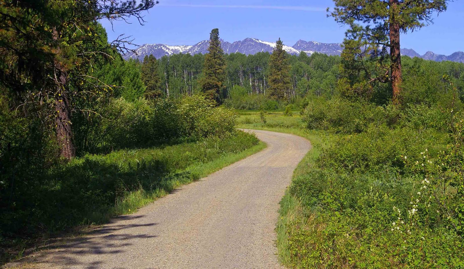 usbackroads™: Driving Backroads!