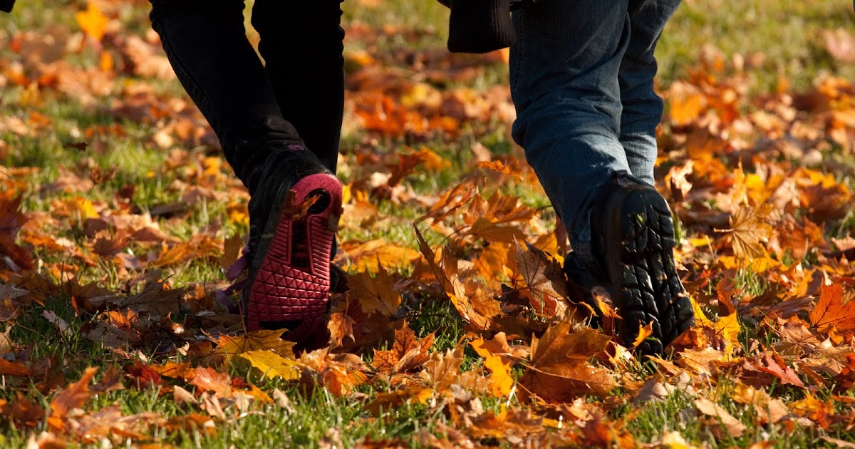 Capturing Life One Picture at a Time: Day 299 - Fall Walk