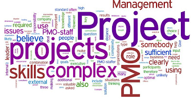Team Based Consulting: Using Project Management Offices in Complex Projects