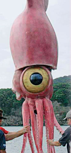 ANIMAL PLANET: Lula Colossal