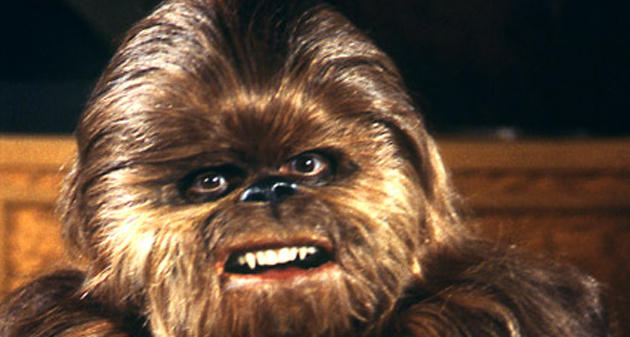 My friend thinks her baby wookie is a dog. : r/aww