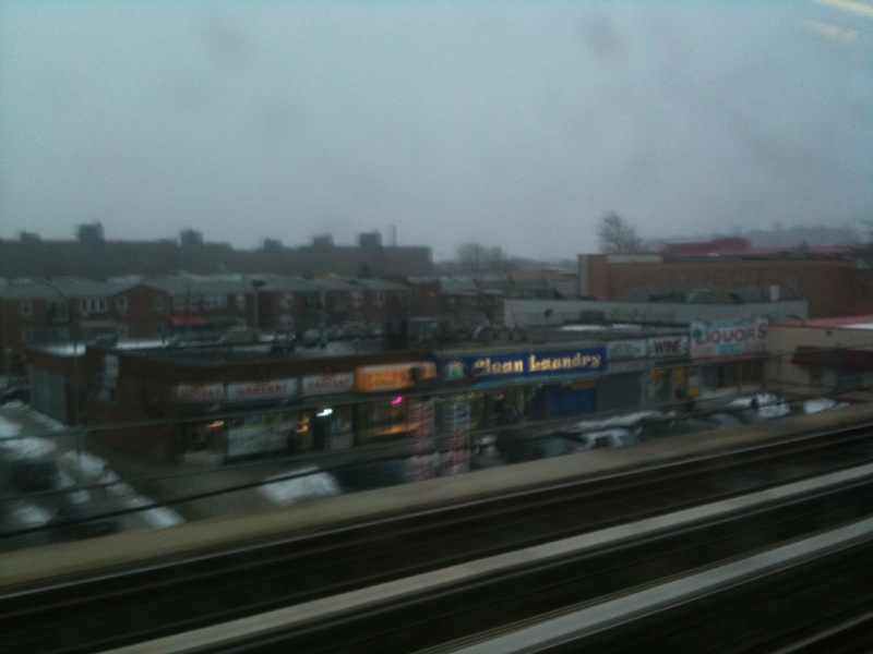 A Subway Rider's Guide through New York: The D Train in Brooklyn