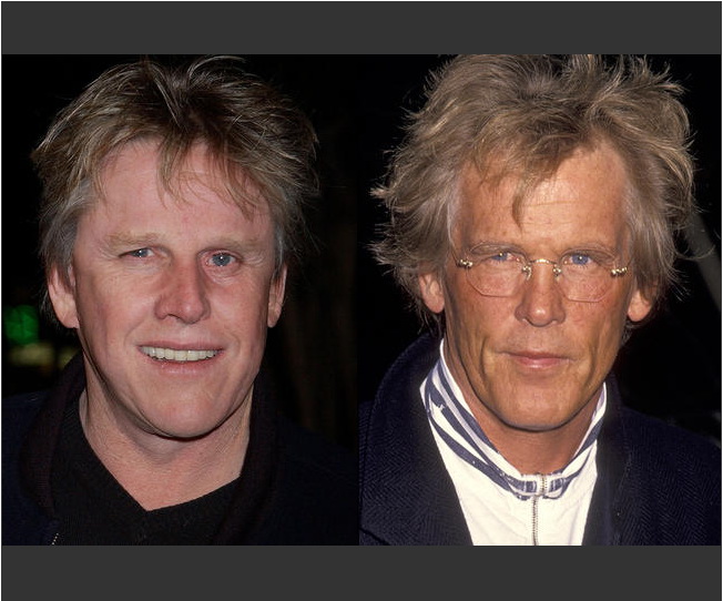 PICTURE BUGS: Celebrities Who Look Alike