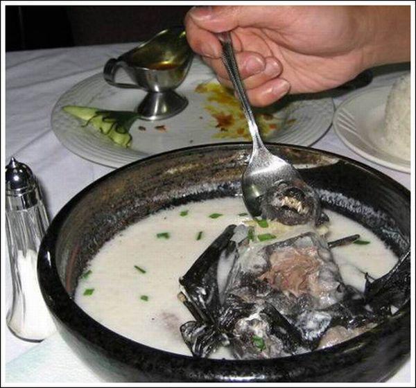 PICTURE BUGS: World’s Worst Soup Ever!