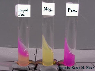 The Lab Freaks: December 2007