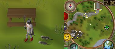 Clue Scrolls; A Complete Guide: Legend's guild map clue