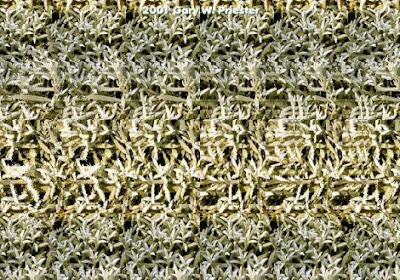 about art: 3D Stereograms