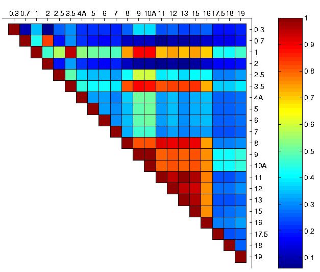 Live it, Love it, and Bleed it: Correlation Matrix