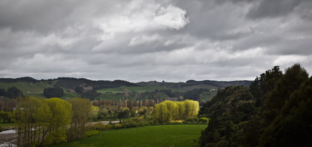 The Ruins of the Moment: Pohangina Valley, Spring 2008 — Photos by Pete ...