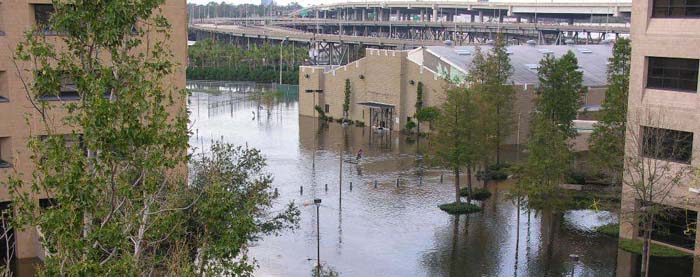 Dillard University CTLAT Blog: Xavier University News: Remembering ...