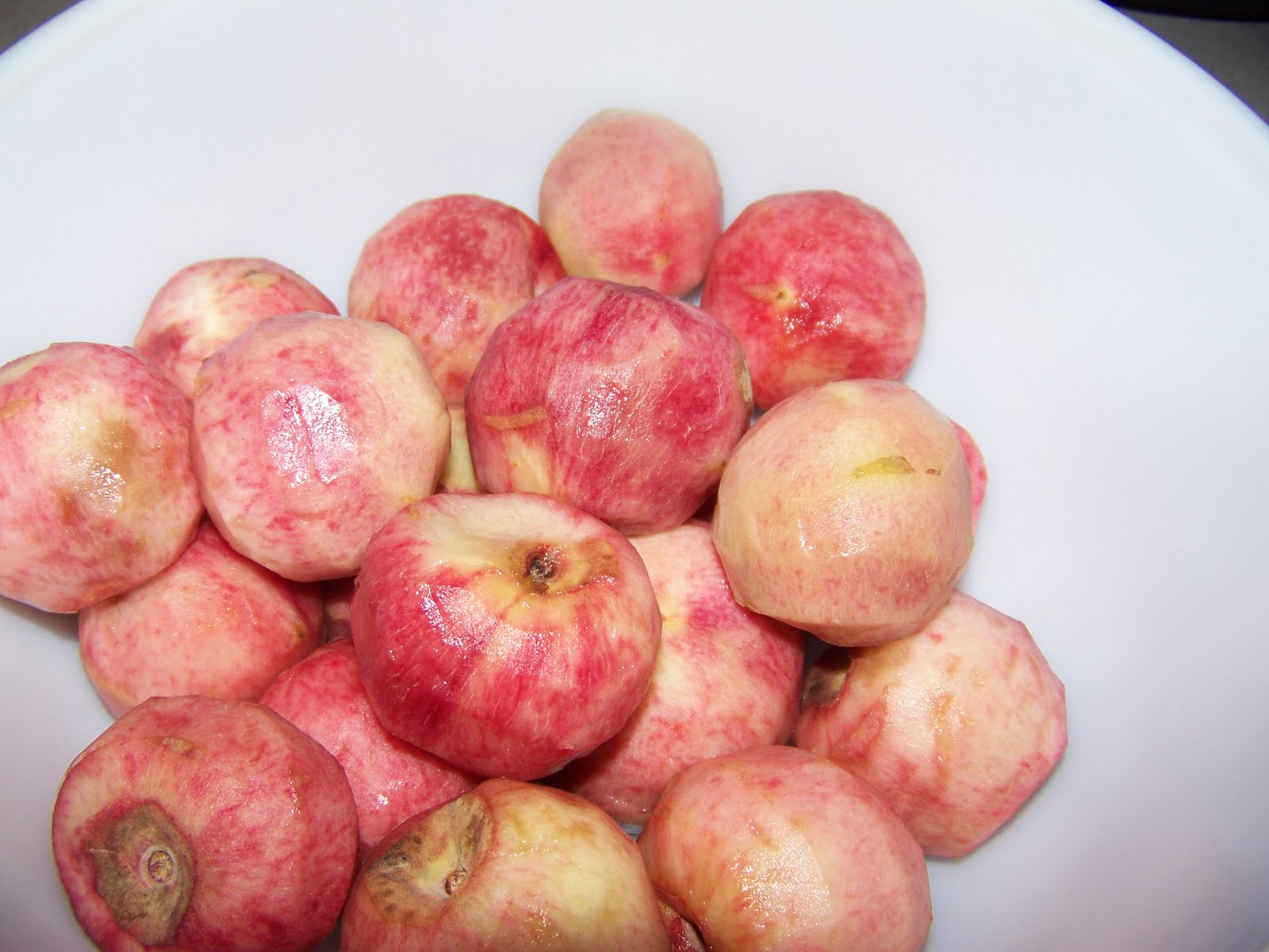 Hickery Holler Farm: Indian Blood Red Peaches