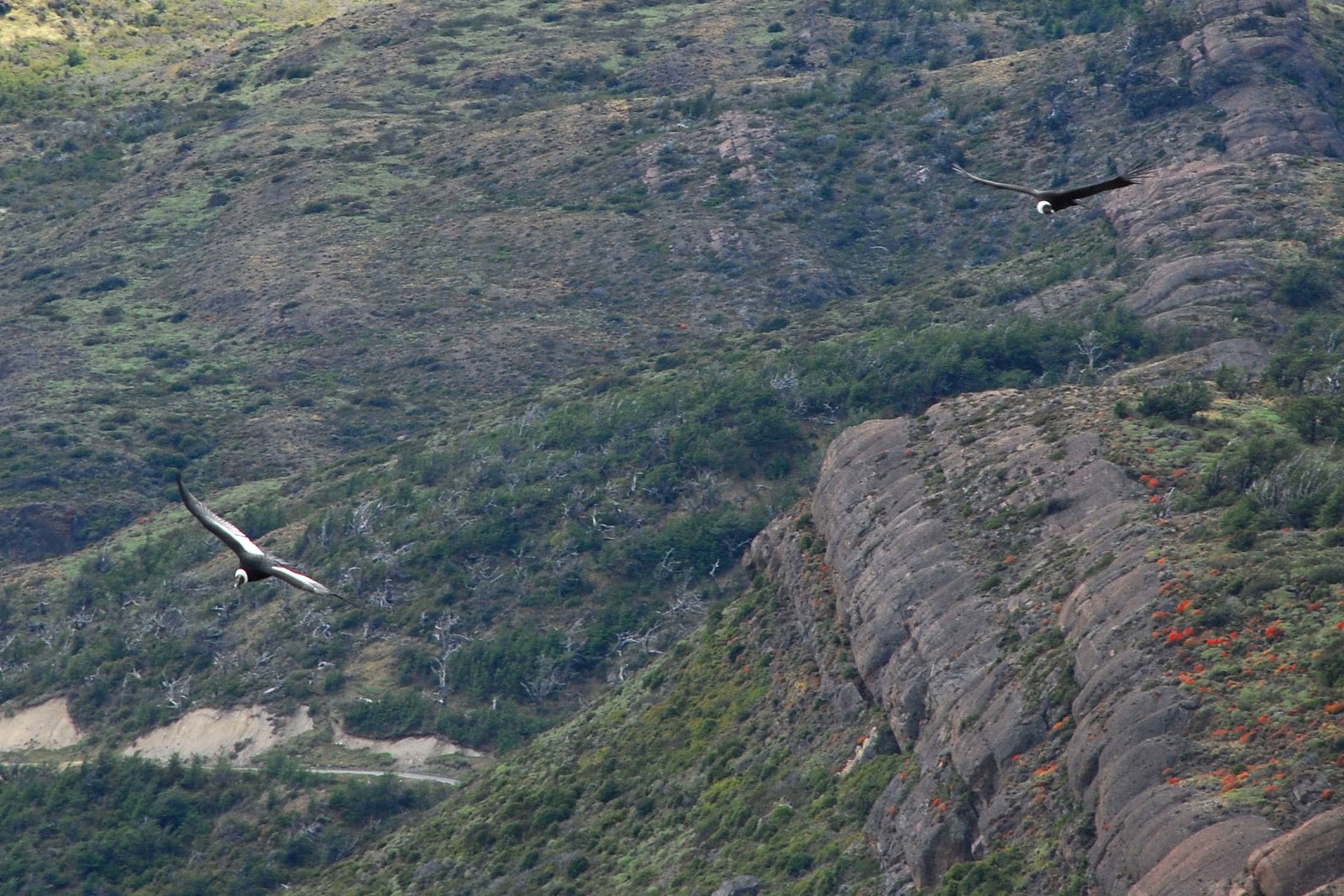 The Nomadic Pinoy: Mirador Condor