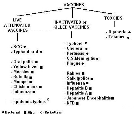 MEDICAL FACTS AND MCQ'S: Live and Killed vaccines