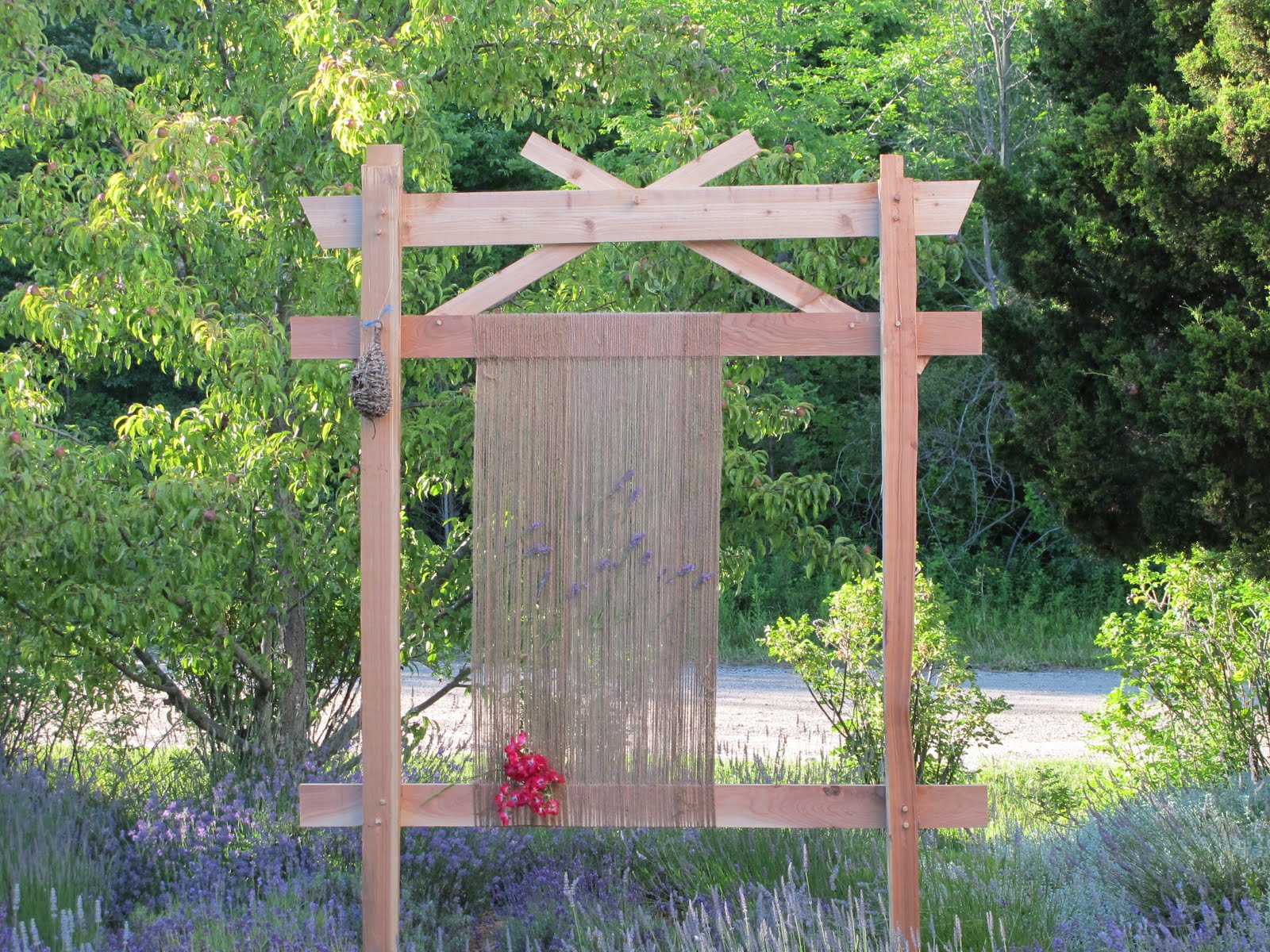 Denice's Day: Snappyfriends youth and garden loom