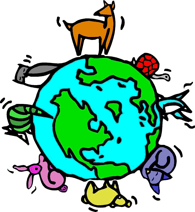 Science blog: Summary #2 : Living Things and their Environment