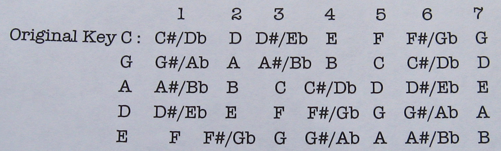 Hep Kitten's Bari-Uke Blog: Using Capos on Baritone Ukuleles