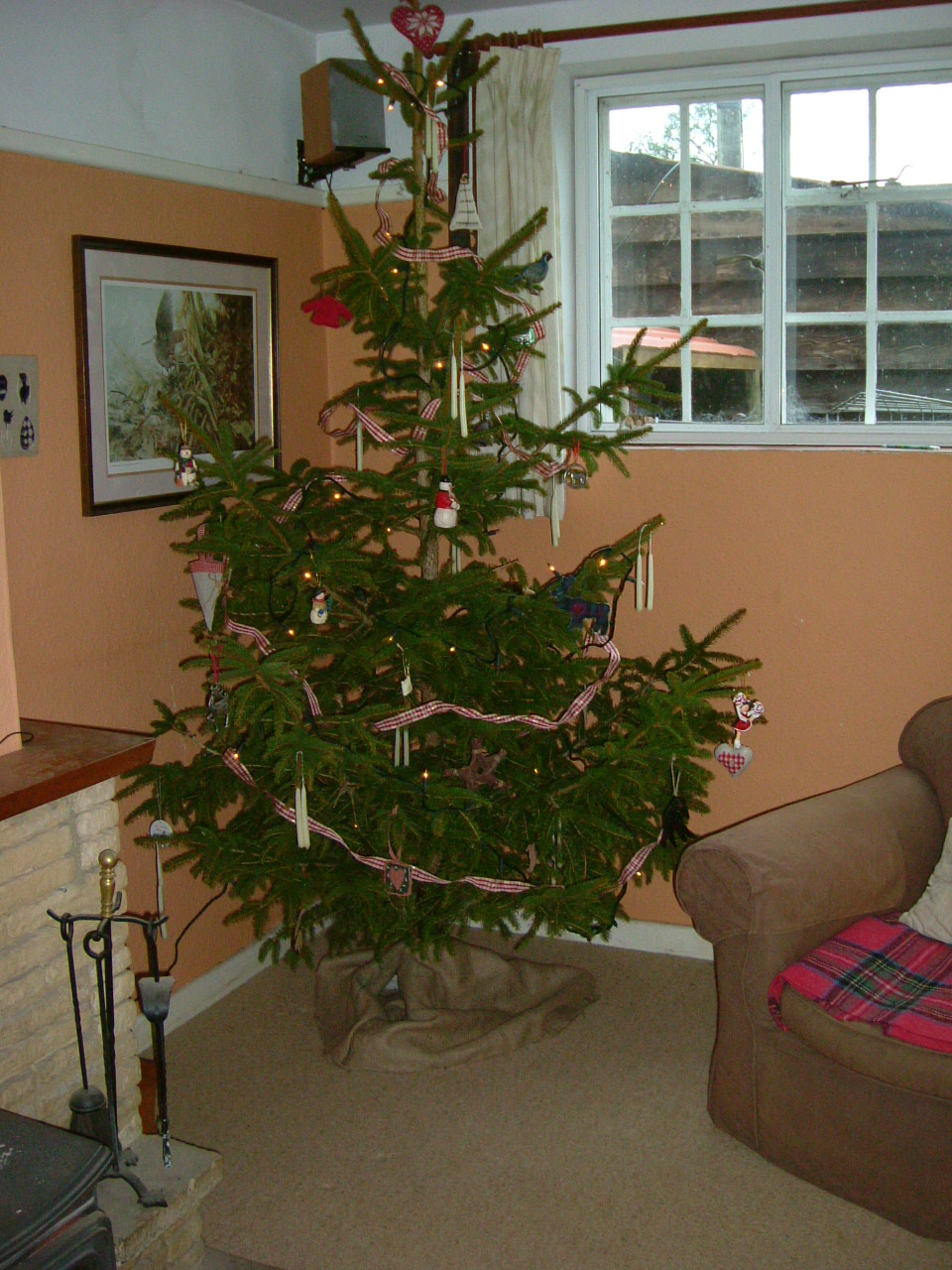 Milkweed & Teasel: Harvesting the Christmas Tree