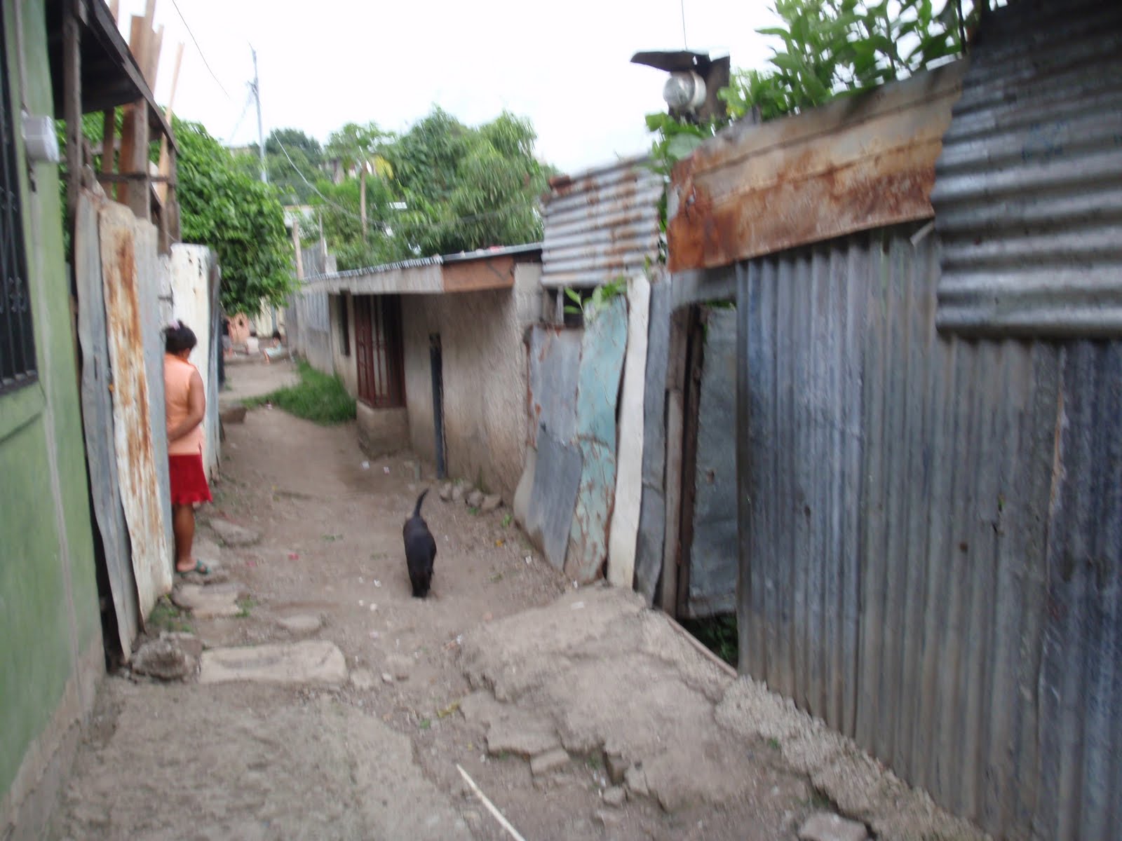 teaching, touring & exploring... the Costa Rican way: First day at La ...